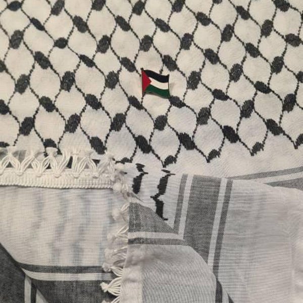 Palestine Embroidery Jacket - Sea Through Black Jacket - Cover up ...