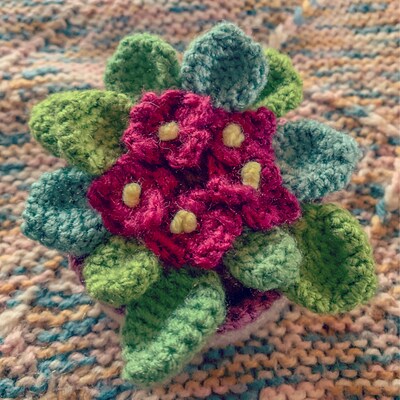 African Violet Crochet Pattern - Etsy