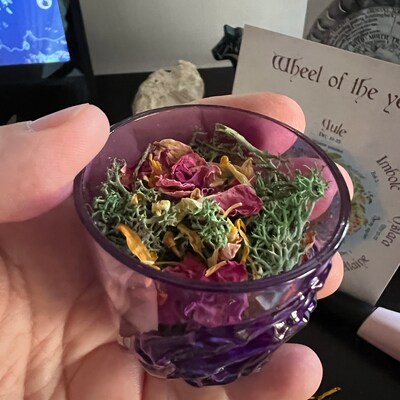 Real Bobcat Toe Bone Curiosity Jar Bone Terrarium Oddity Jar - Etsy