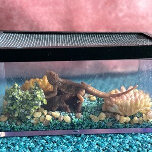 Miniature Cabinet Kit Half Inch Scale 1:24 - Etsy