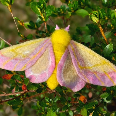 Needle Felted, Felt Brooch, Moth, Peach Blossom, Insect Brooches, Felt ...