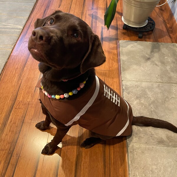 Pool Party Bikini Tutus/party Bikini Tutus/party Bikini Veils/swimsuit ...