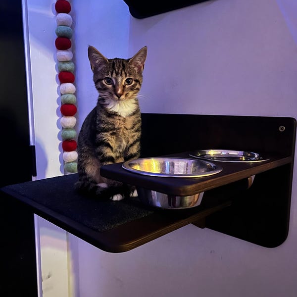 Unique Cat Bridge and Cat Shelves - Enhance Your Kitty's Playtime and ...