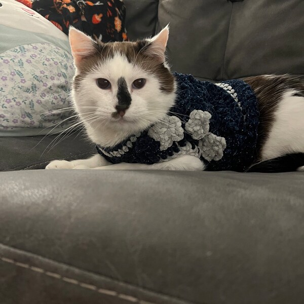 PATTERN DOWNLOAD - Taylor Swift Inspired Cat Cardigan - Etsy