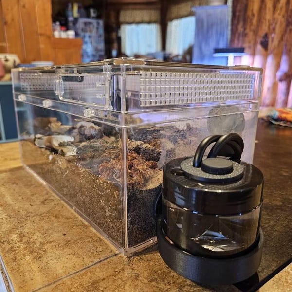 Feed/mist Port Vents for Isopods, Millepedes, Spiders and Many Other ...