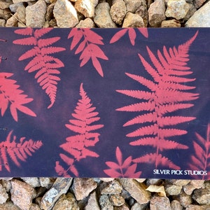 Blue Botanical Cyanotype Stickers Pack of 10 or 20 Round Glossy Labels ...