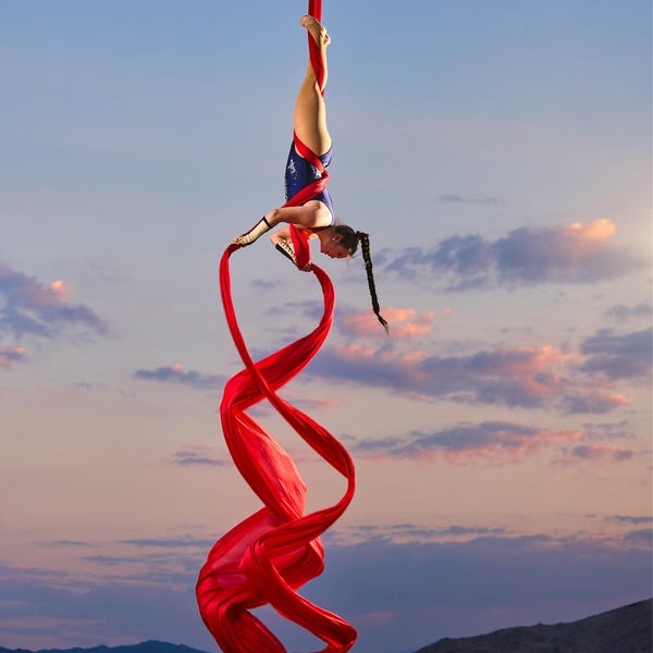 Lilac Leotard With Mesh Skirt Circus Performance Staker Ice Skater Pole ...