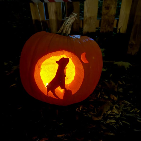 Ballerina Pumpkin Stencil, Ballet Dancer Printable Stencil, Jack O ...