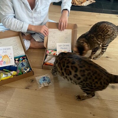 Personalised Cat Birthday Gift Box, Gotcha Day Presents, Pet ...