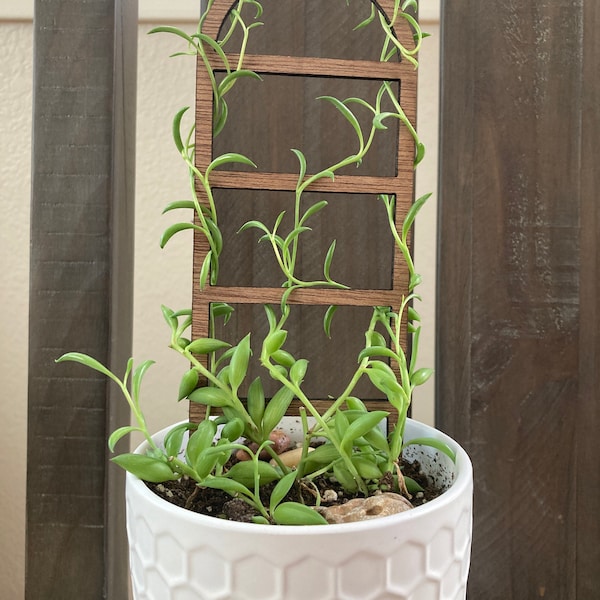 Houseplant Trellis Short | Wood | Plant Stake Support - Etsy