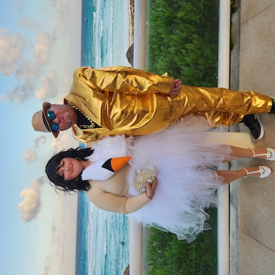 Handmade Swan Dress, Inspired by Bjork, Swan Costume Dress, Swan Dress ...
