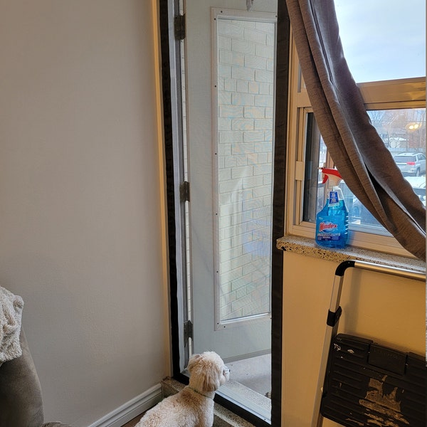 Custom Flat Cats Door Screens - Mesh Window Protection for Cats (with ...