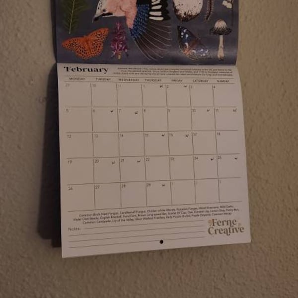 Recycled British Wildlife Habitats Calendar 2026 | Illustrated Daily ...