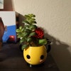 Junimo Planter Stardew Valley Planter and Gift - Etsy Canada