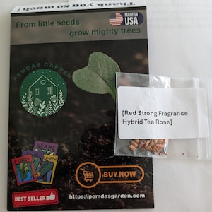 25 Rare Seed Red Rose Seeds Perennial Authentic Seeds Rose Flower ...