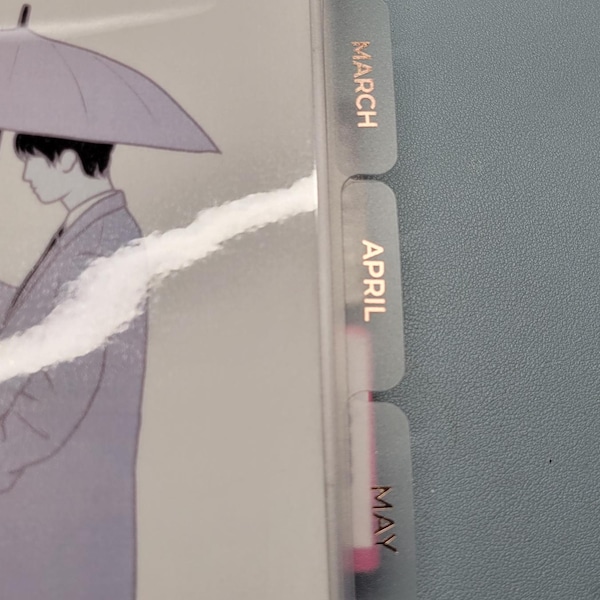 BIG Happy Planner Dividers | Monthly Dividers | Disc Bound Dividers ...