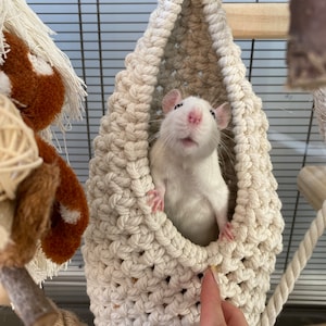 Mouse Climbing Rope - Etsy