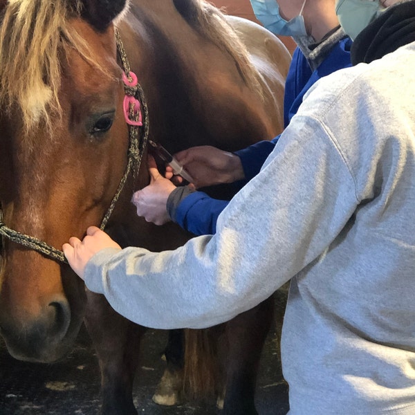 Customizable Poll Pad Relieving the Cervical Spine, Adaptable to ...