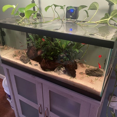 10 Gallon Aquarium Lid Reversible for Hang on Back Filters - Etsy