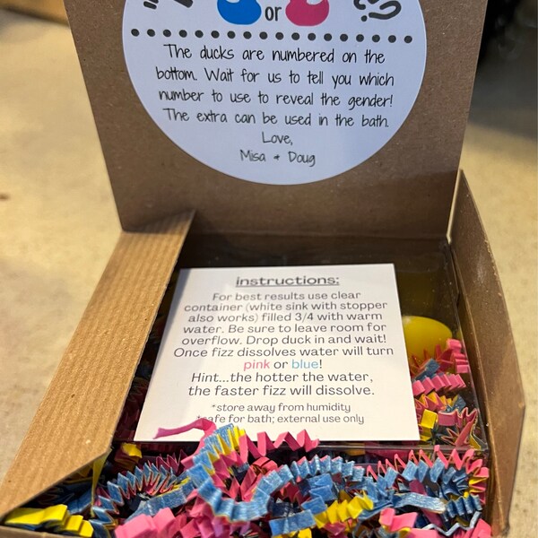 Set of 2 Waddle It Be? Rubber Duck Gender Reveal Fizz by Mail ...