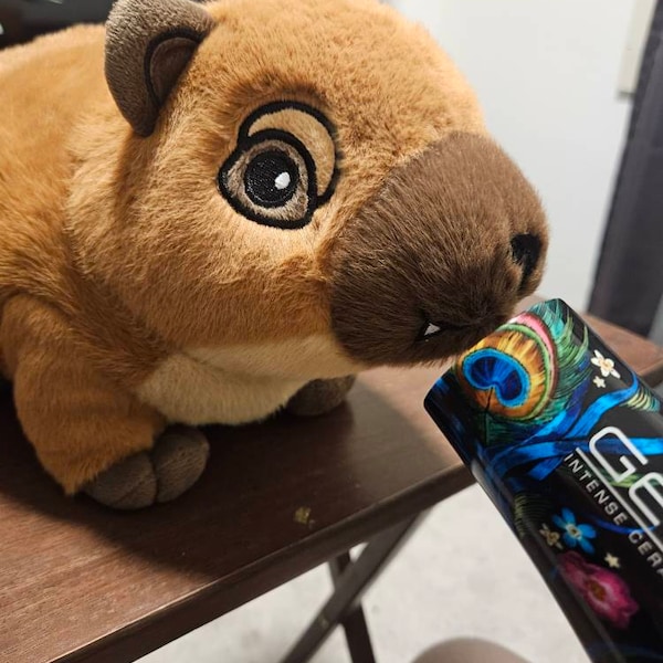 Breb Chinchilla Plushie Large 9 Tall Stuffed Animal, Sensory Friendly ...