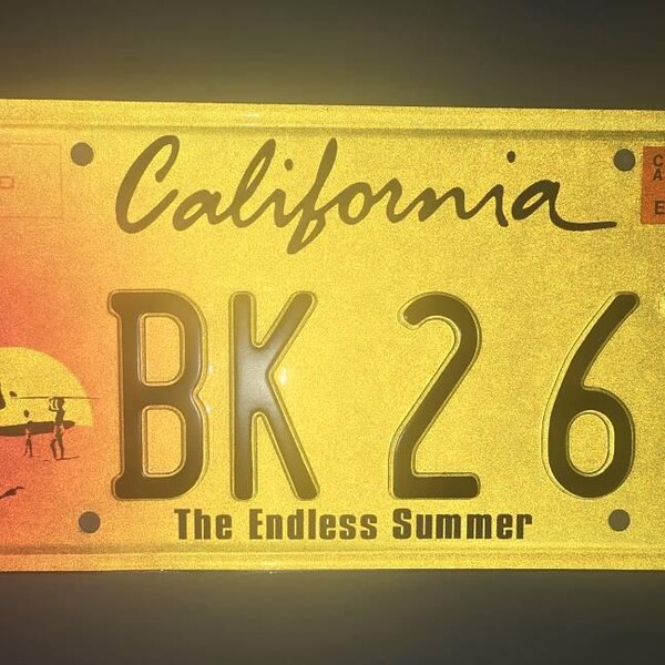 Custom Florida License Plate / Blue Florida License Plate / Florida ...