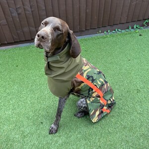 DashwoodDog - Etsy UK