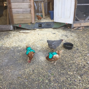 TURKEY SADDLE Adjustable Stag Protector Turkey Apron | Etsy