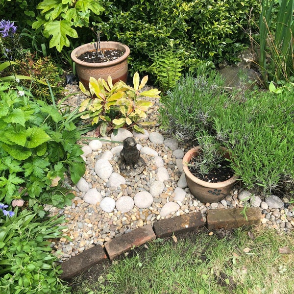 LUCK Will FOLLOW ME Viking Rune Symbol Stone, Plant Pot Garden or ...