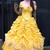 Beauty and the Beast Cosplay Costume Adult Belle Princess Dress,belle ...