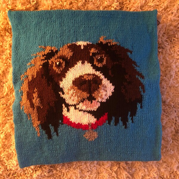Knitting Pattern PDF Download - Springer Spaniel Pet Portrait Pillow ...