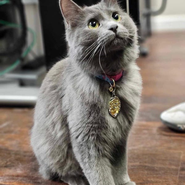 Engraved Security Style Badge Gold - Etsy UK