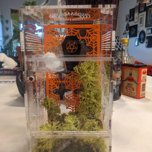 Luna Moth Spider Hide - Etsy