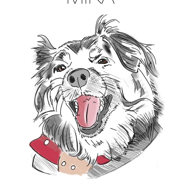 Charizard Portrait, Pokemon Portrait, Custom Ash Portrait, Custom ...