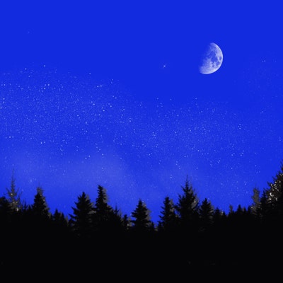 Procreate 3D Female Model, Procreate Tattoo Model, 3D Woman Model, 3D ...