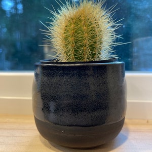 Poe Mini Bookcase - Etsy