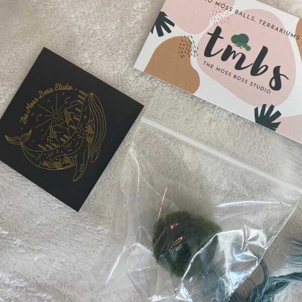 Large Java Moss Ball for Terrarium Planted Tank Live Aquarium ...