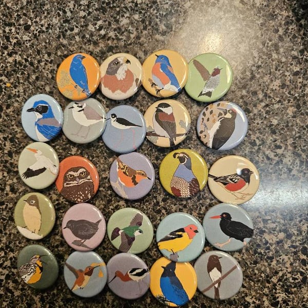 Bird Magnet Gift Set | Choose From 17 Themes | Nature Audubon Birder ...