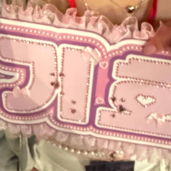 KPOP - Stray Kids SKZOO Han Jisung Skz Banner Handmade - Etsy