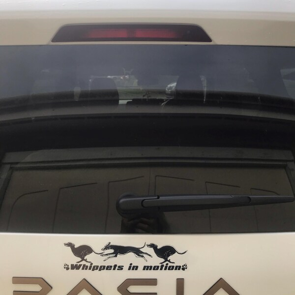 Cane Corso on Board - Car Window Sticker - Beware of the Dog Italian ...