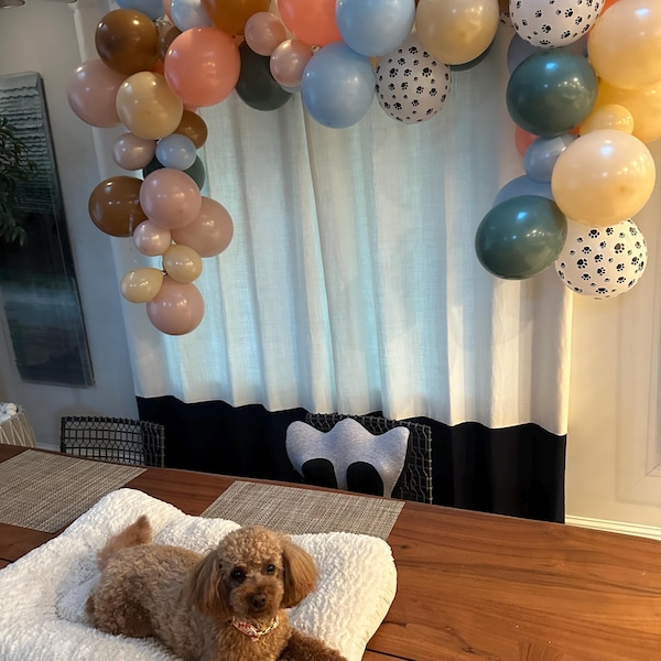 Paw Pawty Balloon Garland | Puppy Balloon Arch | Puppy 1st Birthday ...