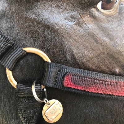 Hand Stamped Horse Halter Tag Handmade Identification Available With ...