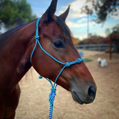 Custom 8 Foot Lead Rope, Yacht Rope Lead, Custom Lead Rope, Yacht Lead ...