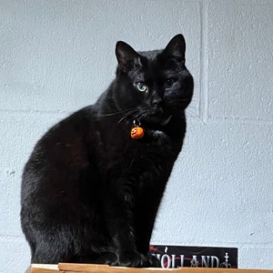 Cat Bells Special Character Jingle Bells Cat Collar Bells - Etsy