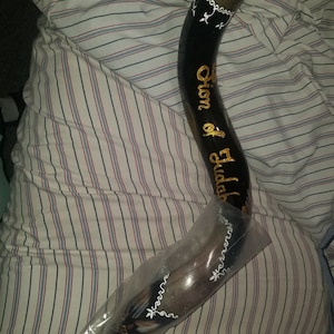 Ram Horn Shofar Trumpet From Israel Wooden Stand Polished | Etsy