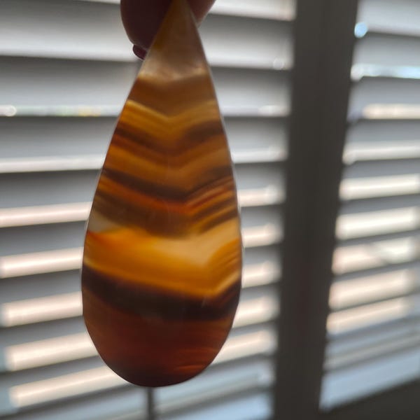 Rare 9.2oz Extinct Chain Coral Fossil halysites From Lake Michigan 425 ...