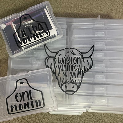 Oval Script DIGITAL FILES Photo Box Labels Memory Box Stickers SVG ...