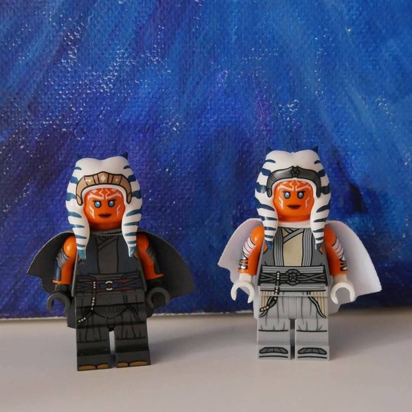 CUSTOM Capes for Your Dnd Minifigs *CAPES ONLY* Perfect Gift for Lego ...