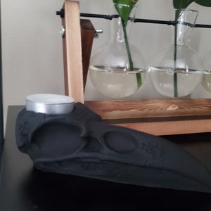 Human VERTEBRAE Spine Decoration Resin Spinal Column Many Colors ...