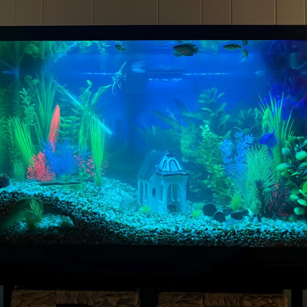 Underwater Tunnel and Cave Hideaway for Shrimps, Fish, and More ...